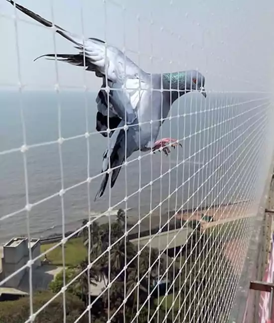 Vasu Balcony Safety Nets Hyderabad